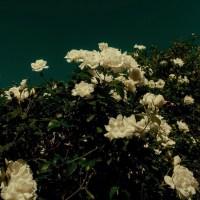 Somewhere After Rock Bottom – Through the Fog
